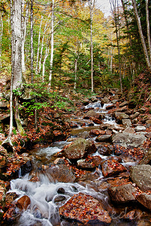 HeatherReeder.com | Water | Photo 12