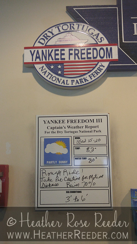 HeatherReeder.com | KW Day4